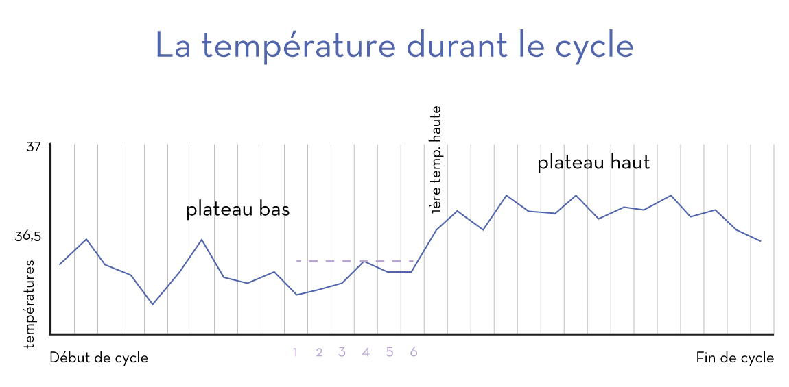 Comment bien prendre ta température ? | Ma vie après l'arrêt de la pilule